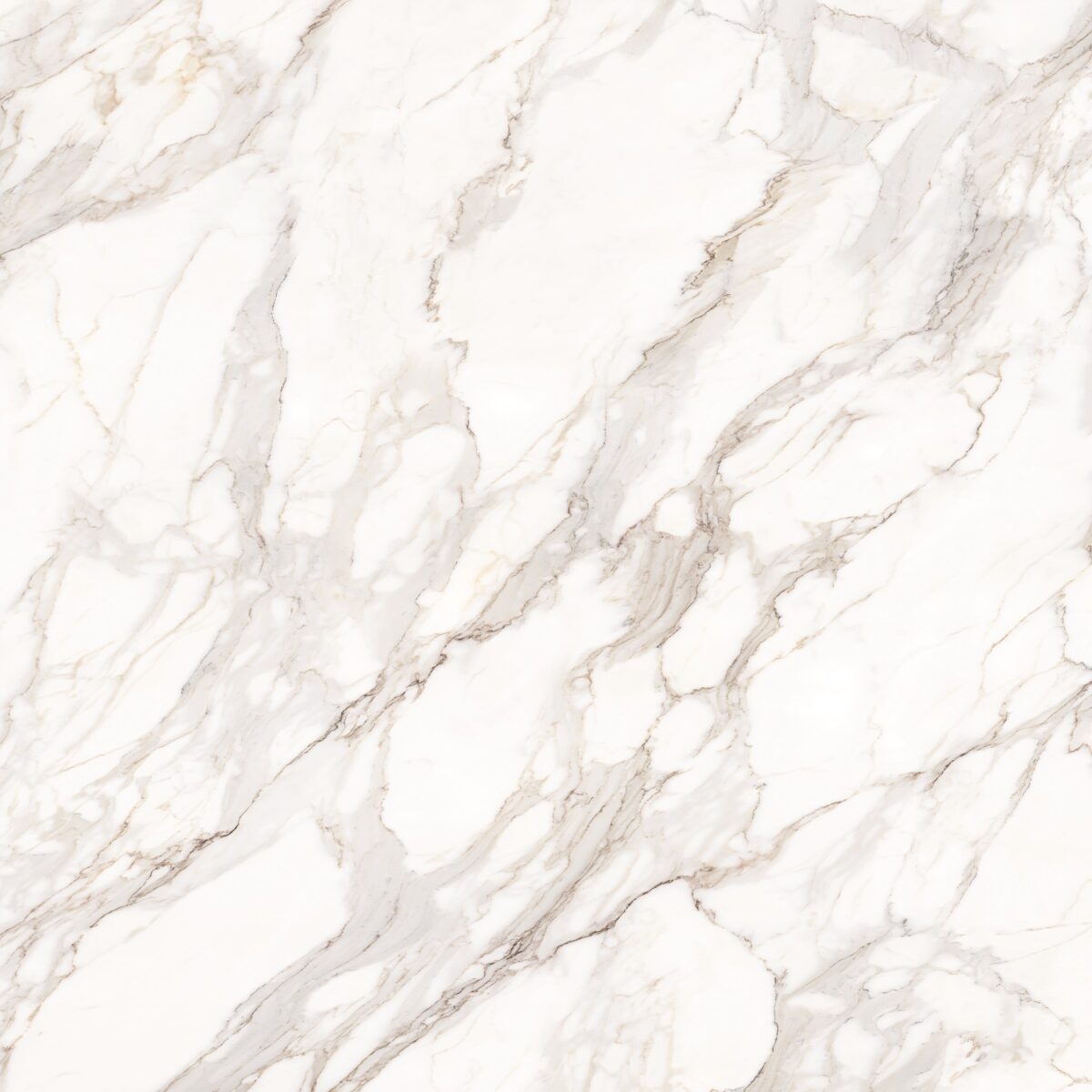 Calacatta Phoenix – Sun Stone Supply, LLC